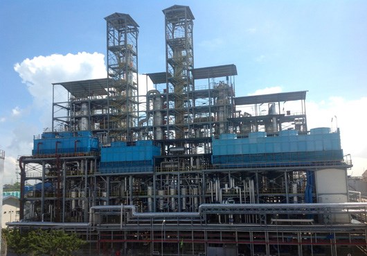 Understanding Oleochemical Process Plant Production | Phoenix