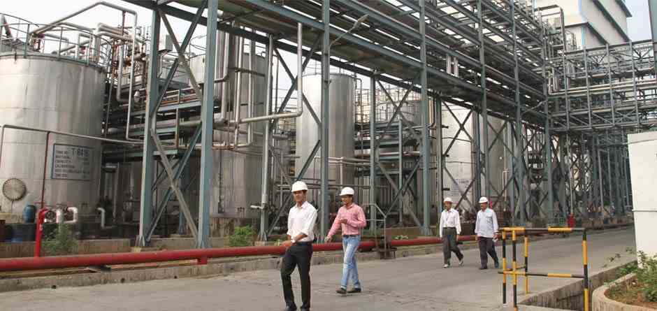 Understanding Oleochemical Process Plant Production | Phoenix