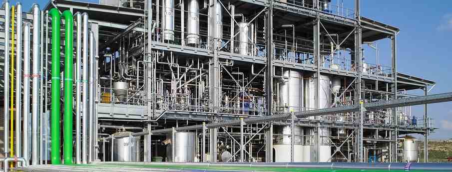 Understanding Oleochemical Process Plant Production | Phoenix
