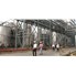 Understanding Oleochemical Process Plant Production | Phoenix