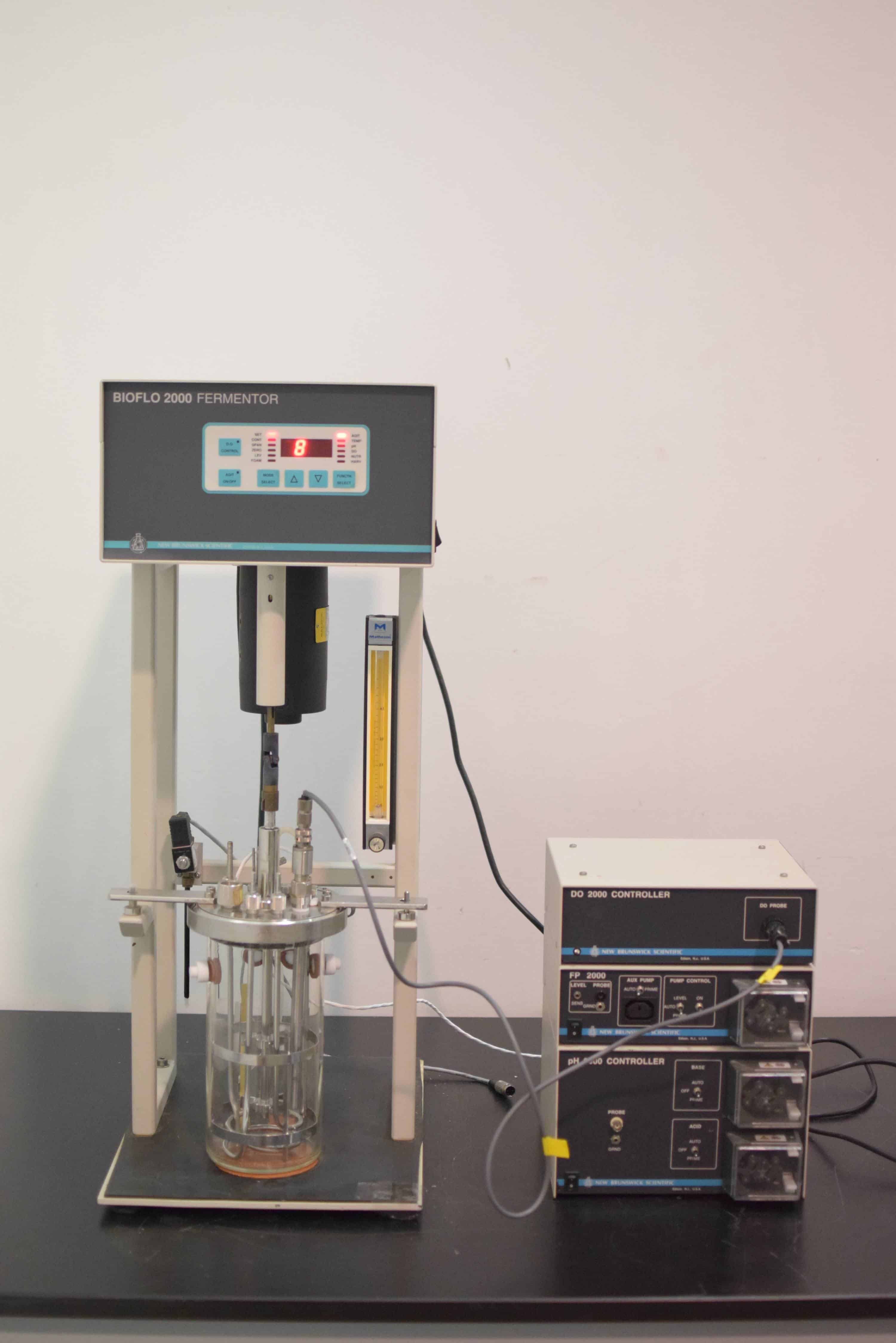 New Brunswick Scientific Bioflo 2000 Fermenter / Bioreactor | 12208 ...